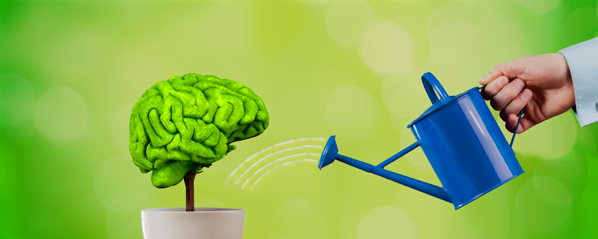 Christian Formation - St. Martin-in-the-Fields Episcopal Church