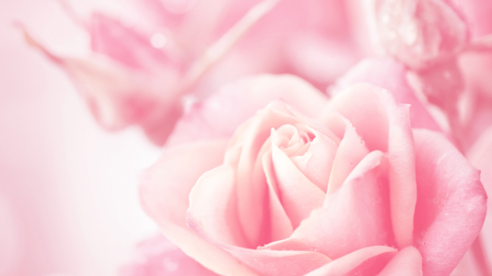 Refreshment Sunday - St. Martin-in-the-Fields Episcopal Church